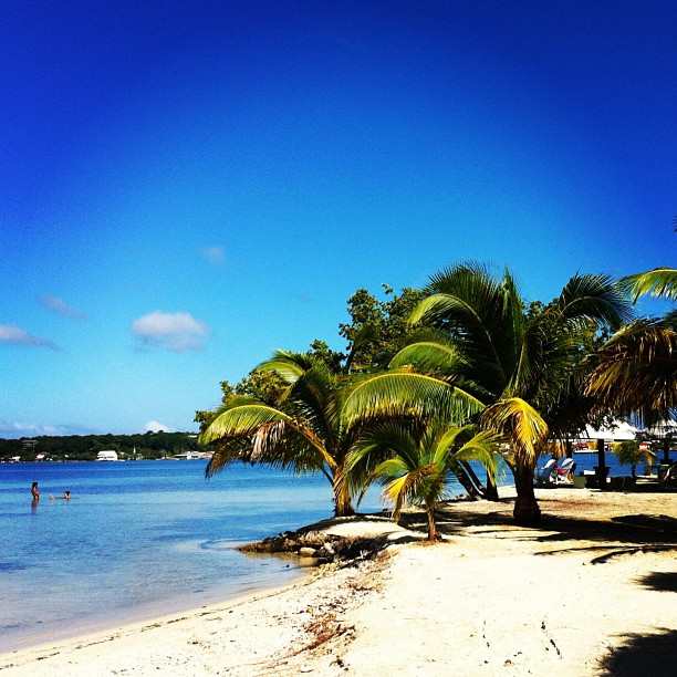 That time I ate a barracuda and got ciguatera poisoning – The Human ...