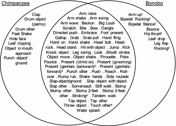 The Body Language of Bonobos and the Evolution of Human Language – The ...