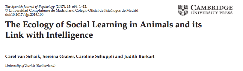 Social Learning in Animals: Implications for the Evolution of Human ...